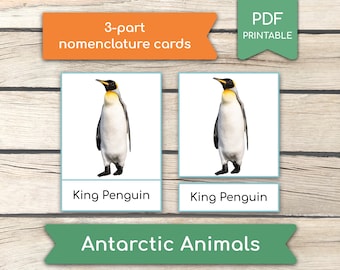 Penguin Types • 12 Penguin Types Montessori Cards, 3-part Cards ...