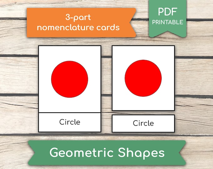 Geometric Shapes Sorting Cards & Chart Primary Geometry Printable ...