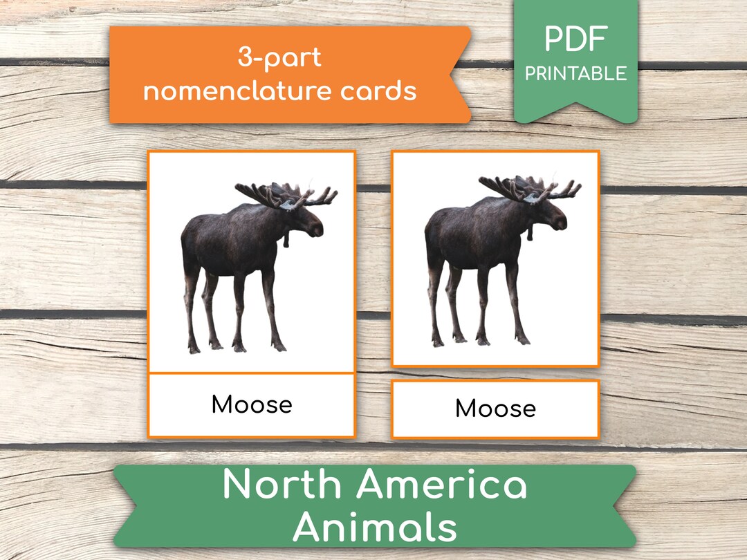 North America Animals Montessori Cards: 3-part Nomenclature Flashcards ...