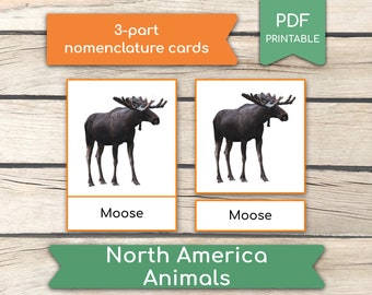 Animals of North America 3-part Cards - Etsy