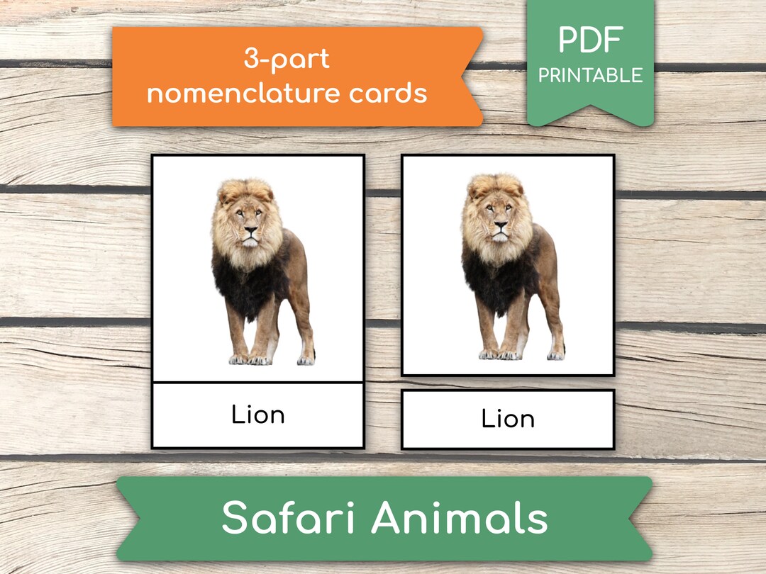 10 Safari Animals (real Pictures) Montessori Cards, Animals Cards, 3 ...