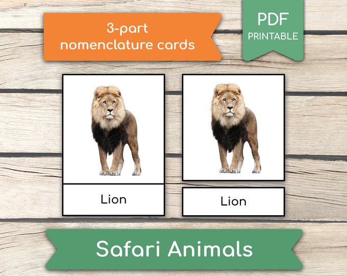 Editable Safari Animals Flashcards for Kids, Montessori Animal Name ...