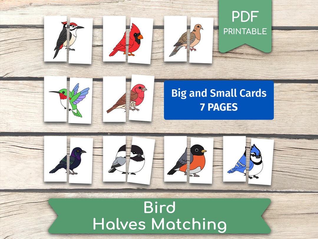 Bird Halves Matching Game: Preschool Learning Activity (PDF Printables ...