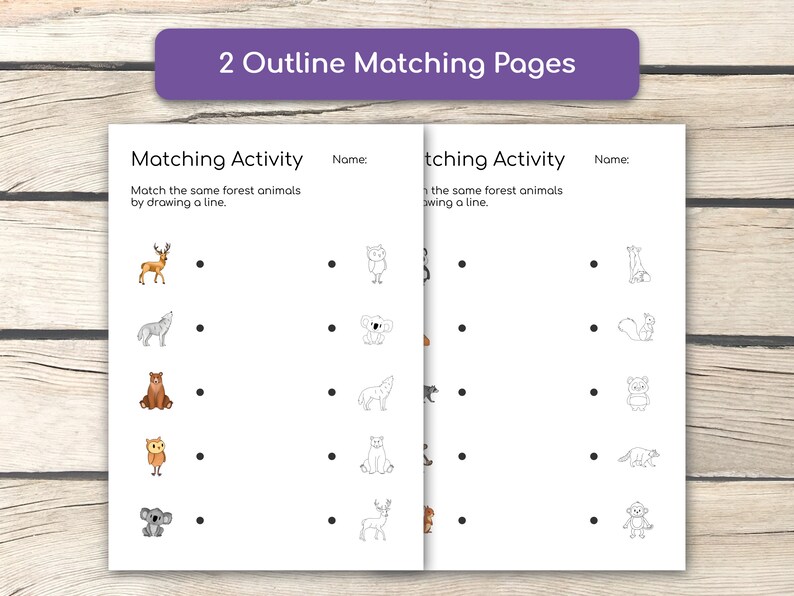 Forest Animals Matching Activity 5 Different Types Worksheet • 10 Pages ...