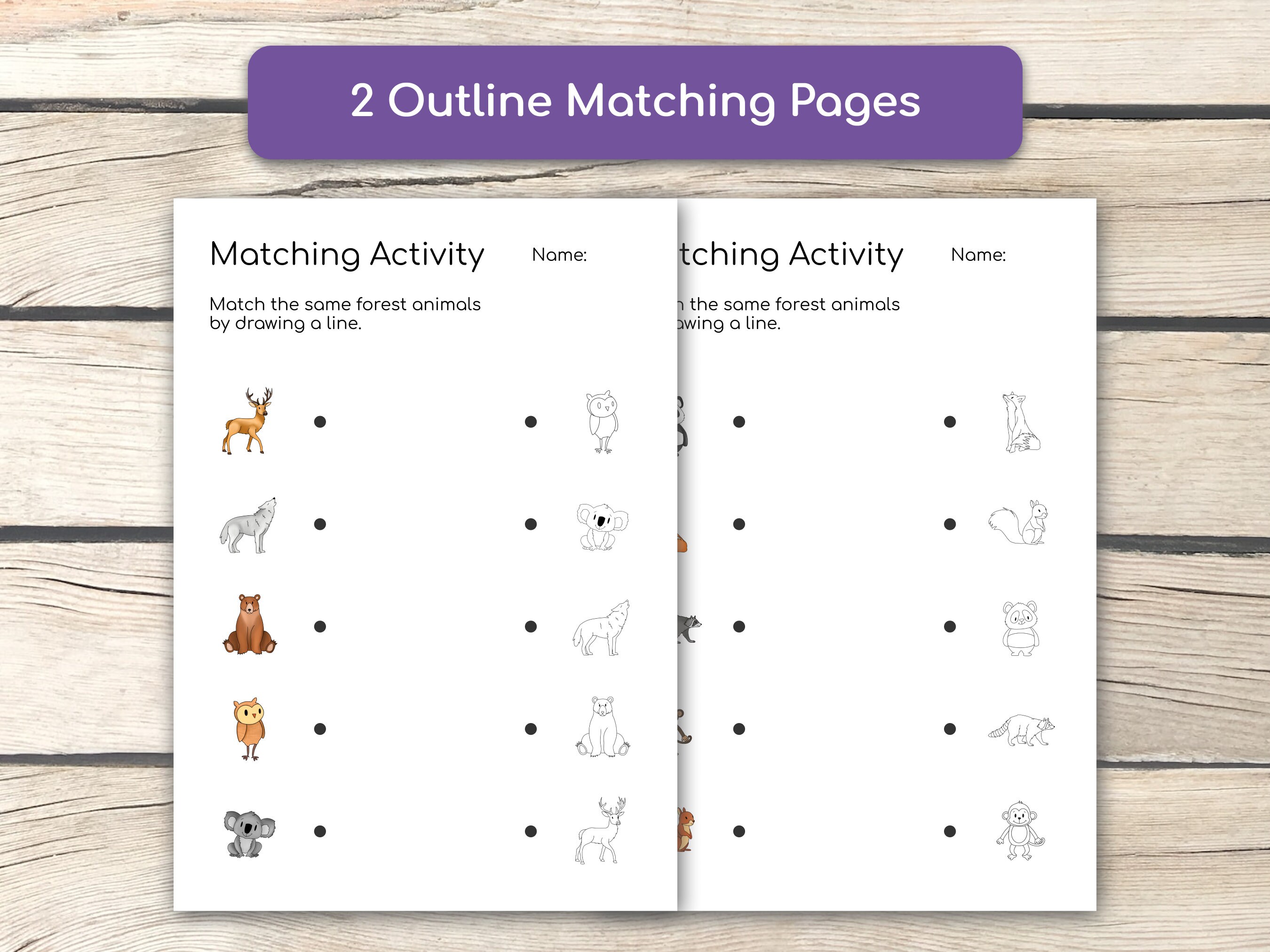 Forest Animals Matching Activity 5 Different Types Worksheet • 10 Pages ...