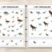 Dinosaurs I Spy Worksheet, Dinosaurs Activity, I Spy Activity ...