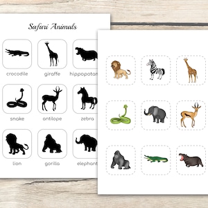 Safari Animals Shadow Matching Game: Preschool Activity (PDF Printables ...