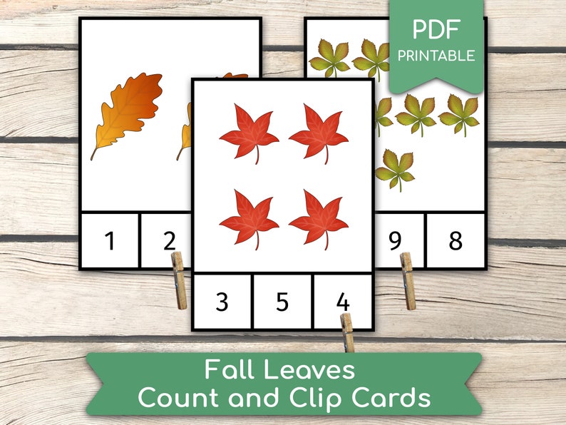 Fall Leaves Counting Cards: Montessori Preschool Activity (PDF ...