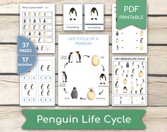 Penguin Life Cycle Activity Bundle, Penguin Activities, Learn Penguin ...