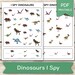 Dinosaurs I Spy Worksheet, Dinosaurs Activity, I Spy Activity ...