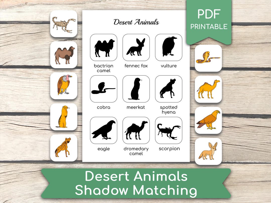Desert Animals Shadow Matching Game, Desert Animals Worksheet, Matching ...