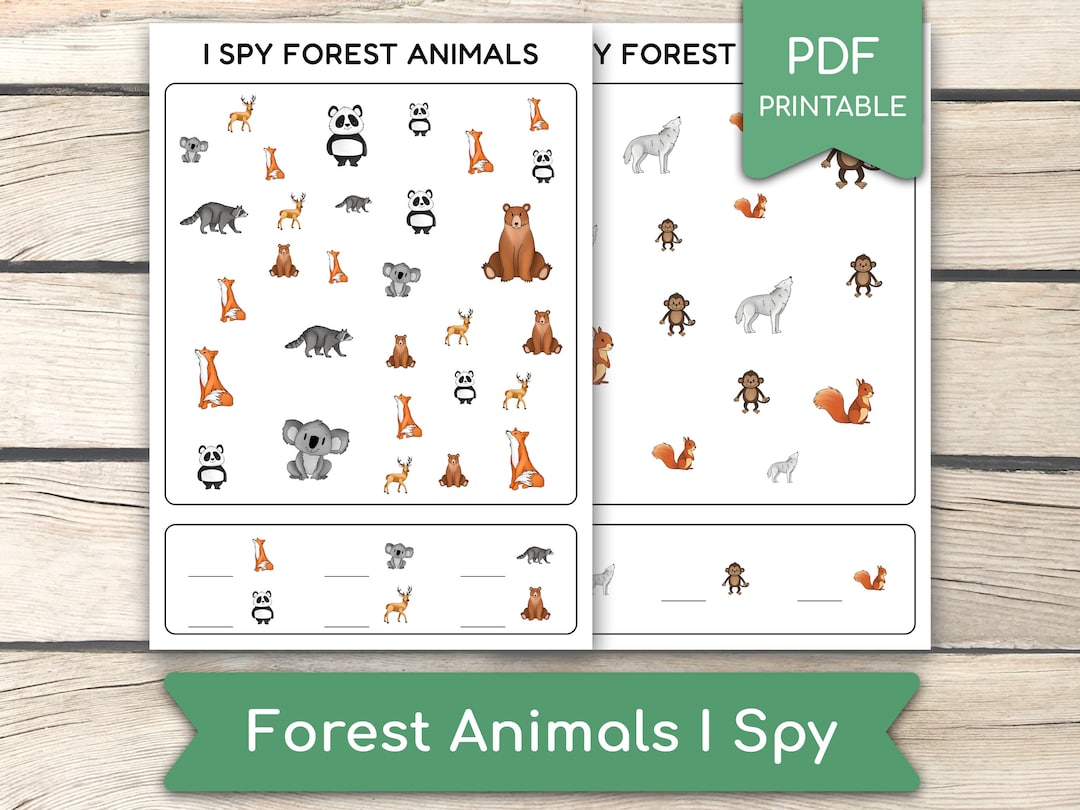Forest Animals I Spy Worksheet, Forest Animals Activity, I Spy Activity ...