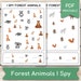 Forest Animals I Spy Worksheet, Forest Animals Activity, I Spy Activity ...