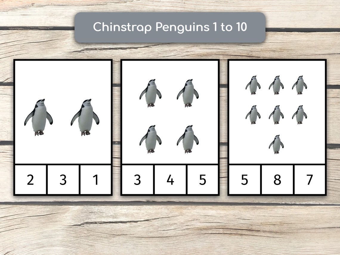 Counting Penguin Types (1 to 10), Montessori Cards, Preschool Counting ...