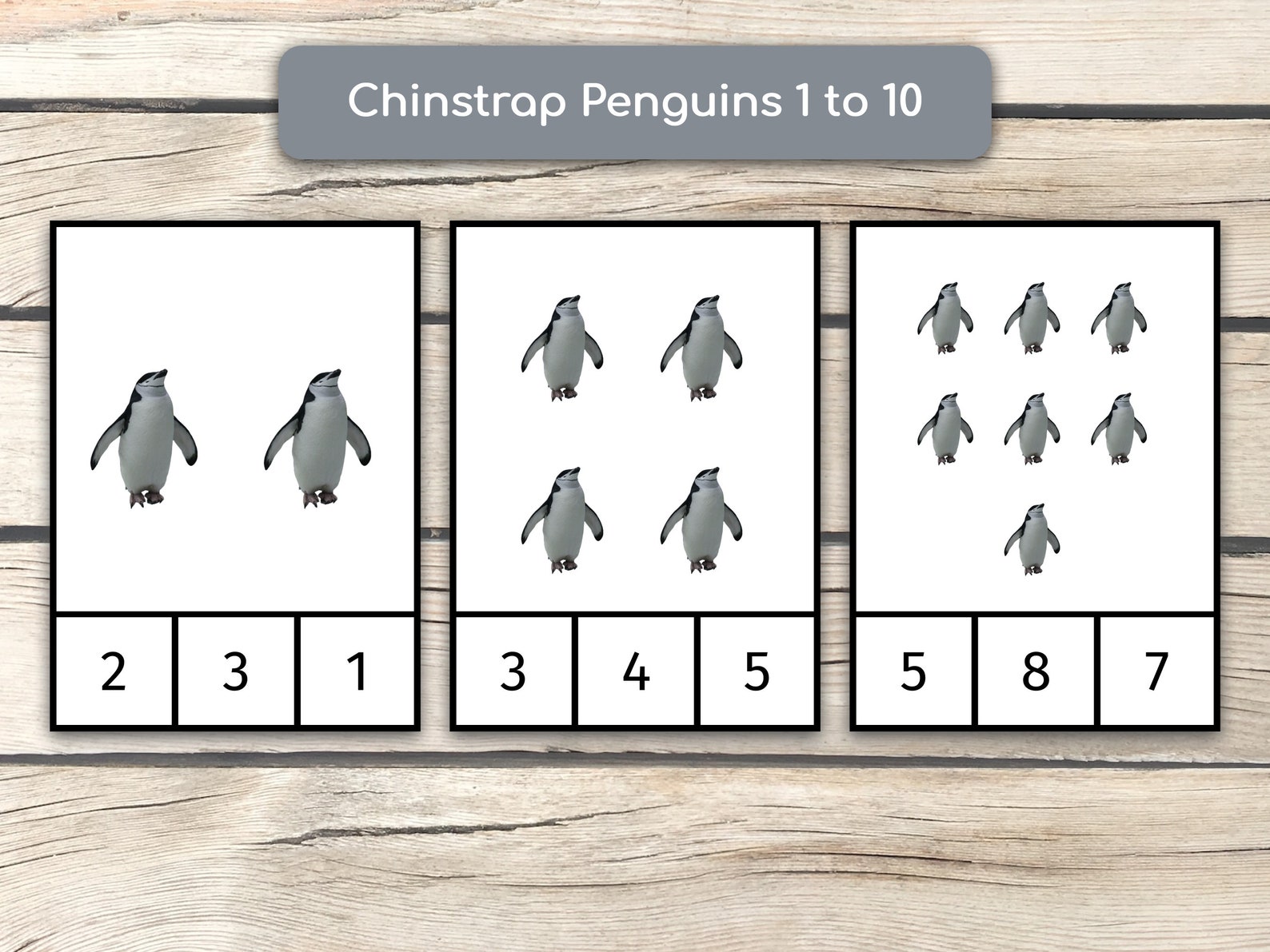 Counting Penguin Types (1 to 10), Montessori Cards, Preschool Counting ...