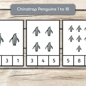 Counting Penguin Types (1 to 10), Montessori Cards, Preschool Counting ...