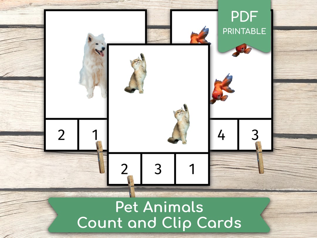 Counting Pet Animals (real Pictures) 1 to 10 Montessori Cards Preschool ...
