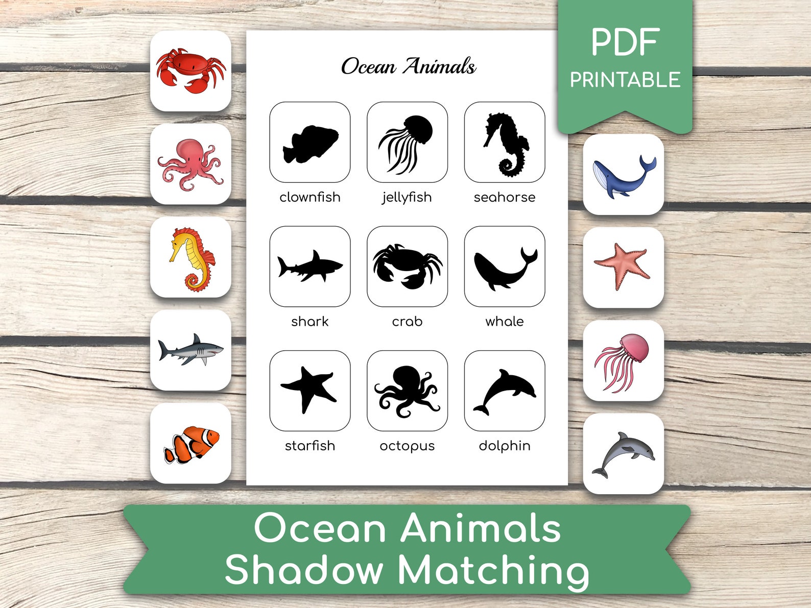 Ocean Animals Shadow Matching Game, Ocean Animals Worksheet, Matching ...