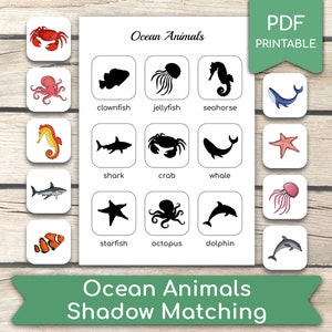 Ocean Animals Shadow Matching Game, Ocean Animals Worksheet, Matching ...