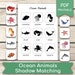 Ocean Animals Shadow Matching Game, Ocean Animals Worksheet, Matching ...