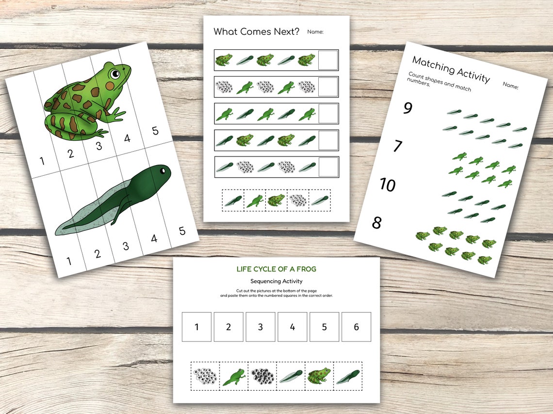 Frog Life Cycle Activity Bundle, Frog Activities, Learn Frogs, Frog ...