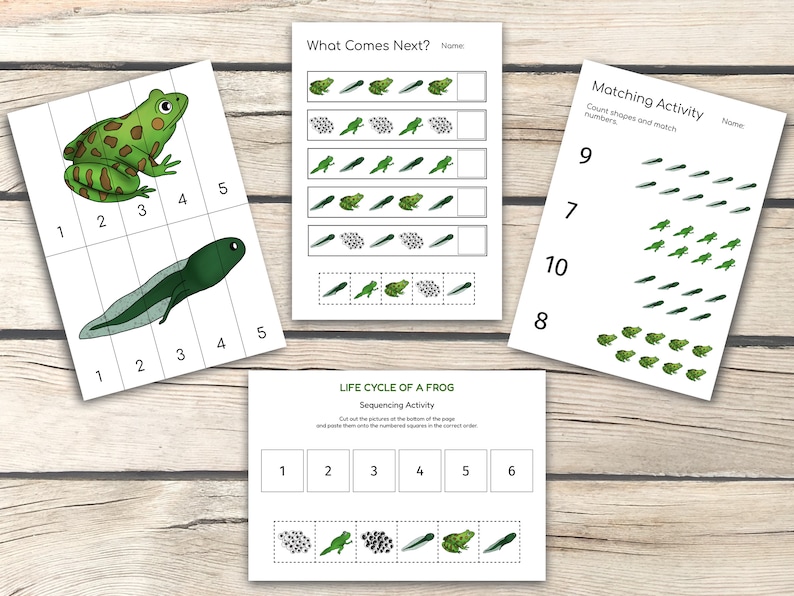 Frog Life Cycle Activity Bundle, Frog Activities, Learn Frogs, Frog ...