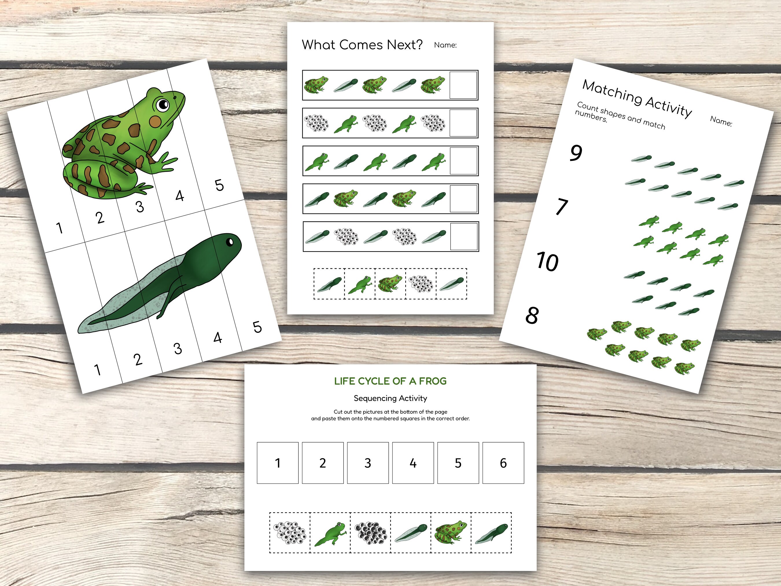 Frog Life Cycle Activity Bundle, Frog Activities, Learn Frogs, Frog ...