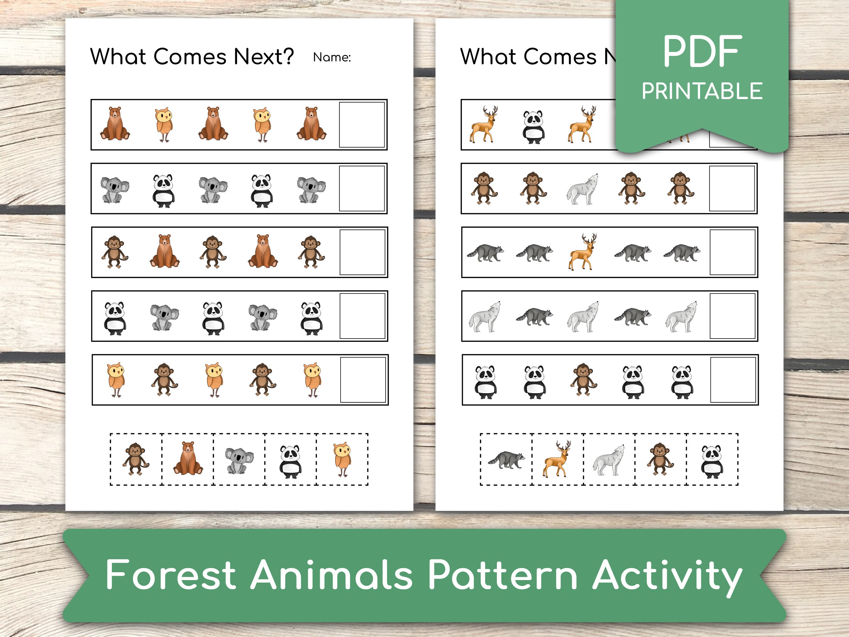 WHAT COMES NEXT Forest Animals Worksheet Pattern Activity - Etsy UK