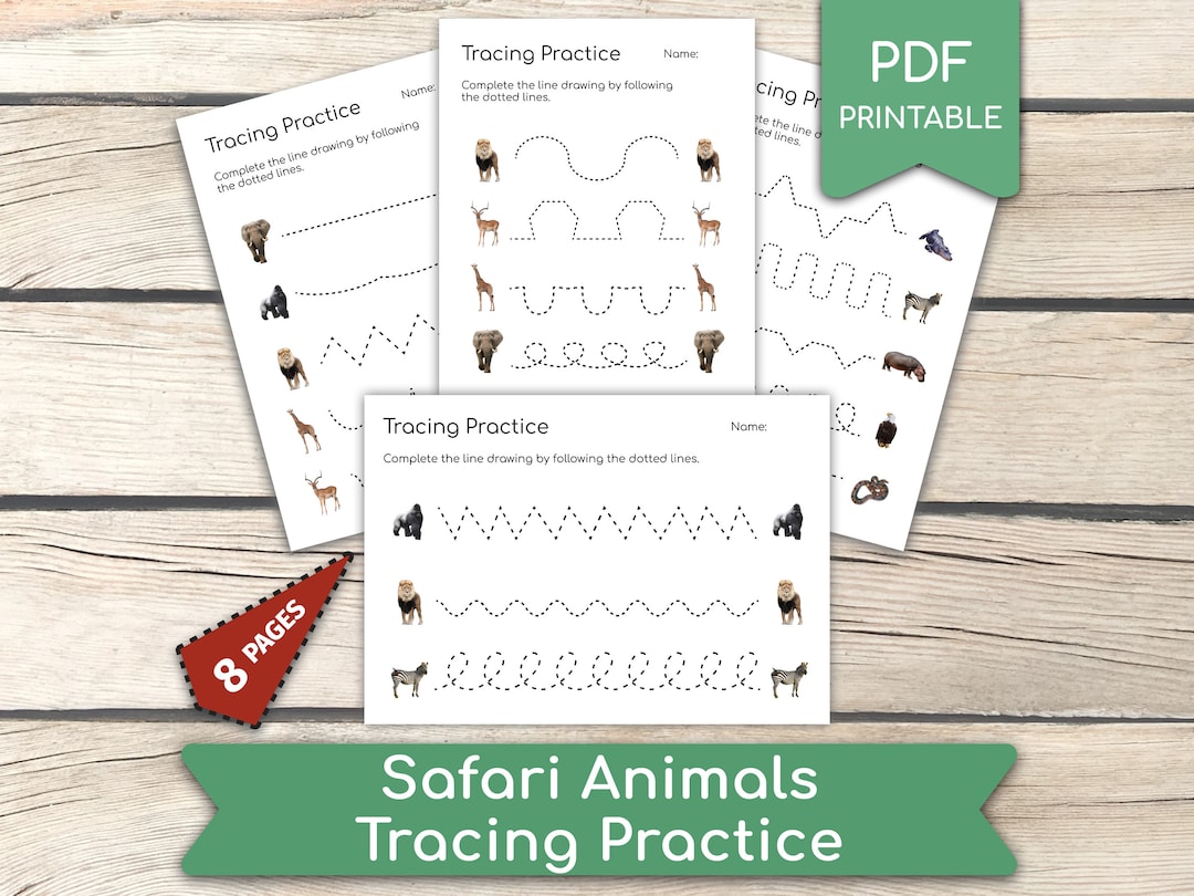 Preschool Line Tracing Practice, Safari Animals (real Pictures) Pre ...