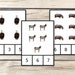 Safari Animals Counting Cards (real Pictures): Montessori Homeschool ...
