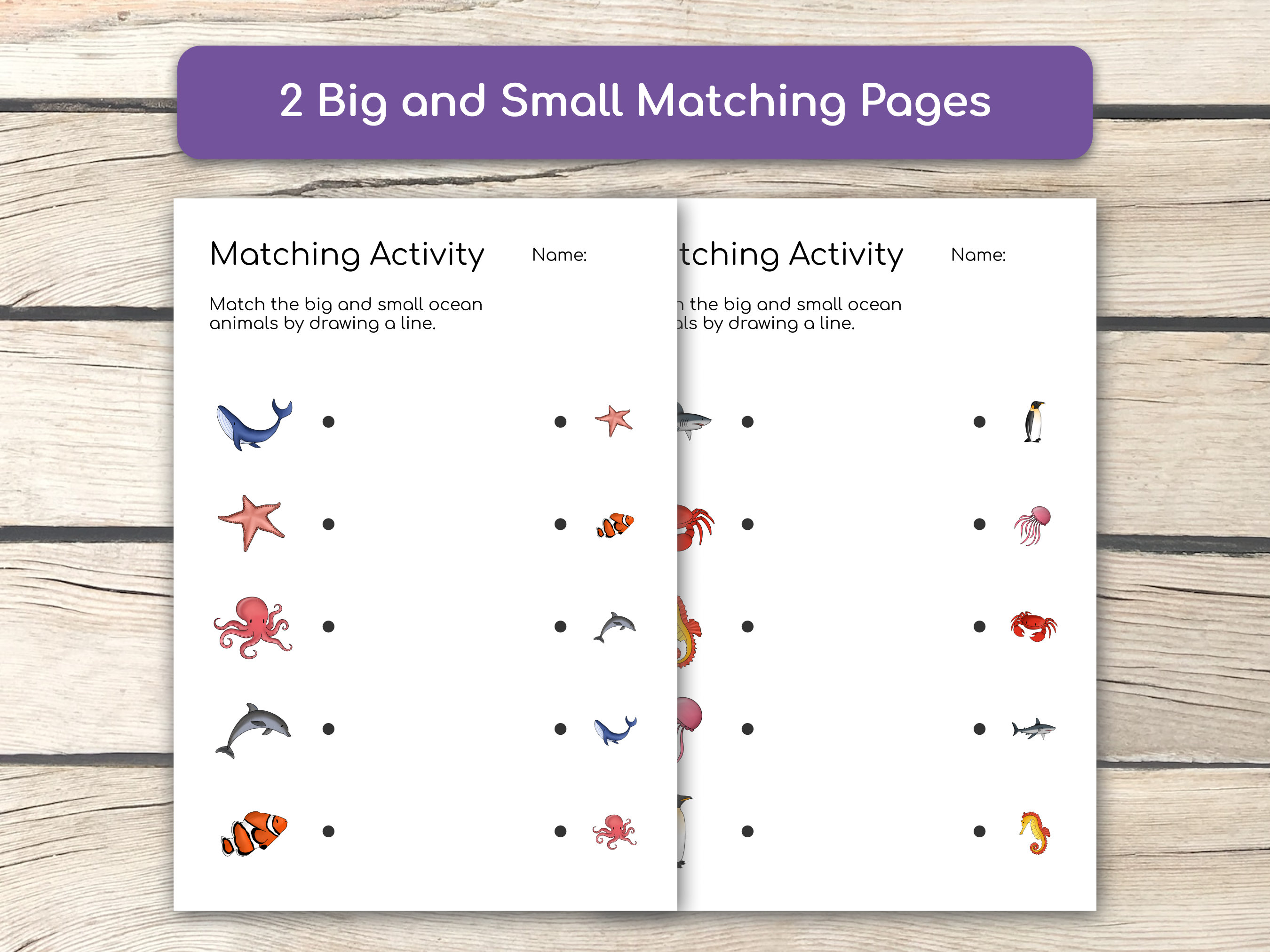 Ocean Animals Matching Activity 5 Different Types Worksheet 10 Pages ...