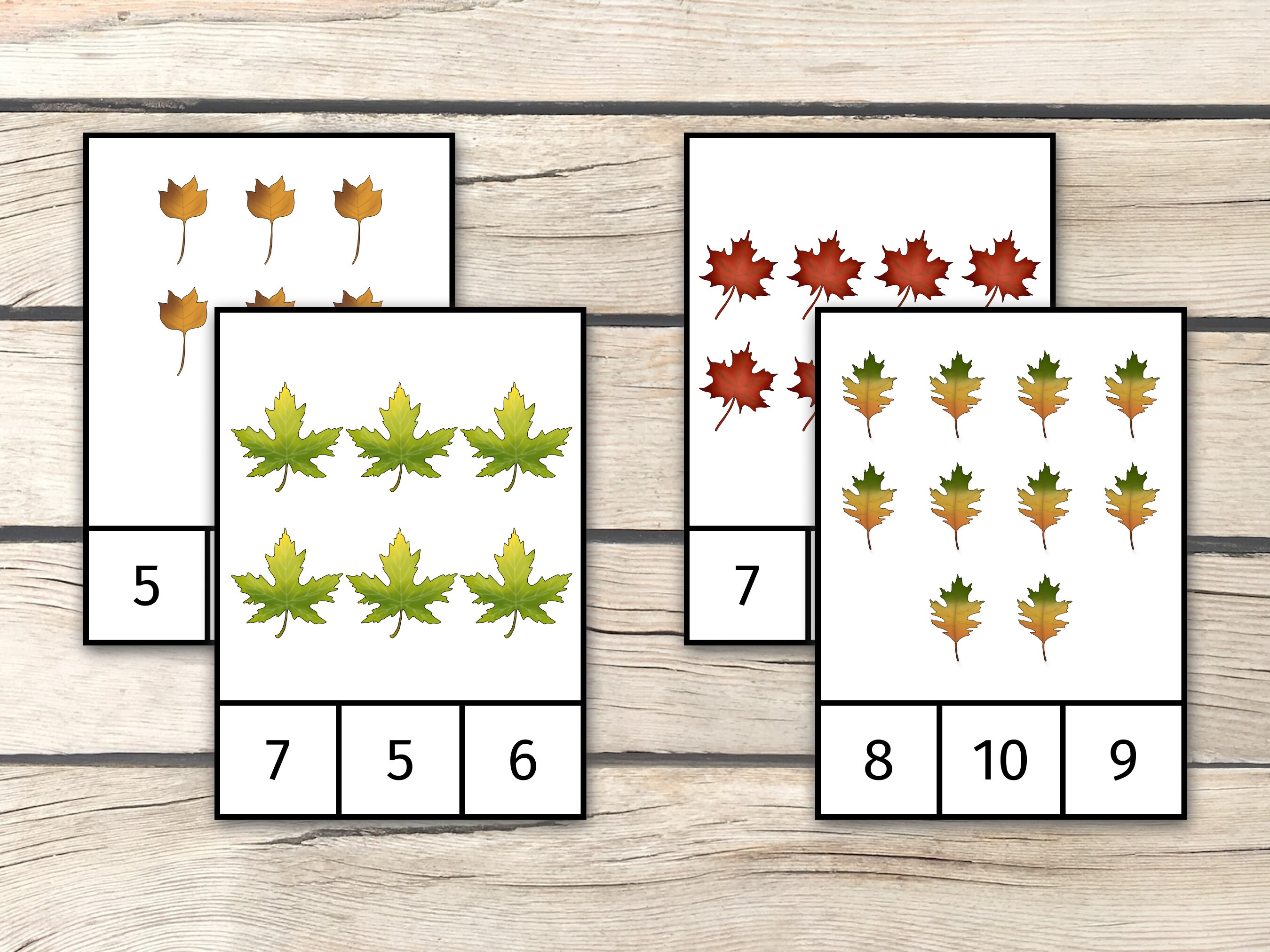 Fall Leaves Counting Cards: Montessori Preschool Activity (PDF ...