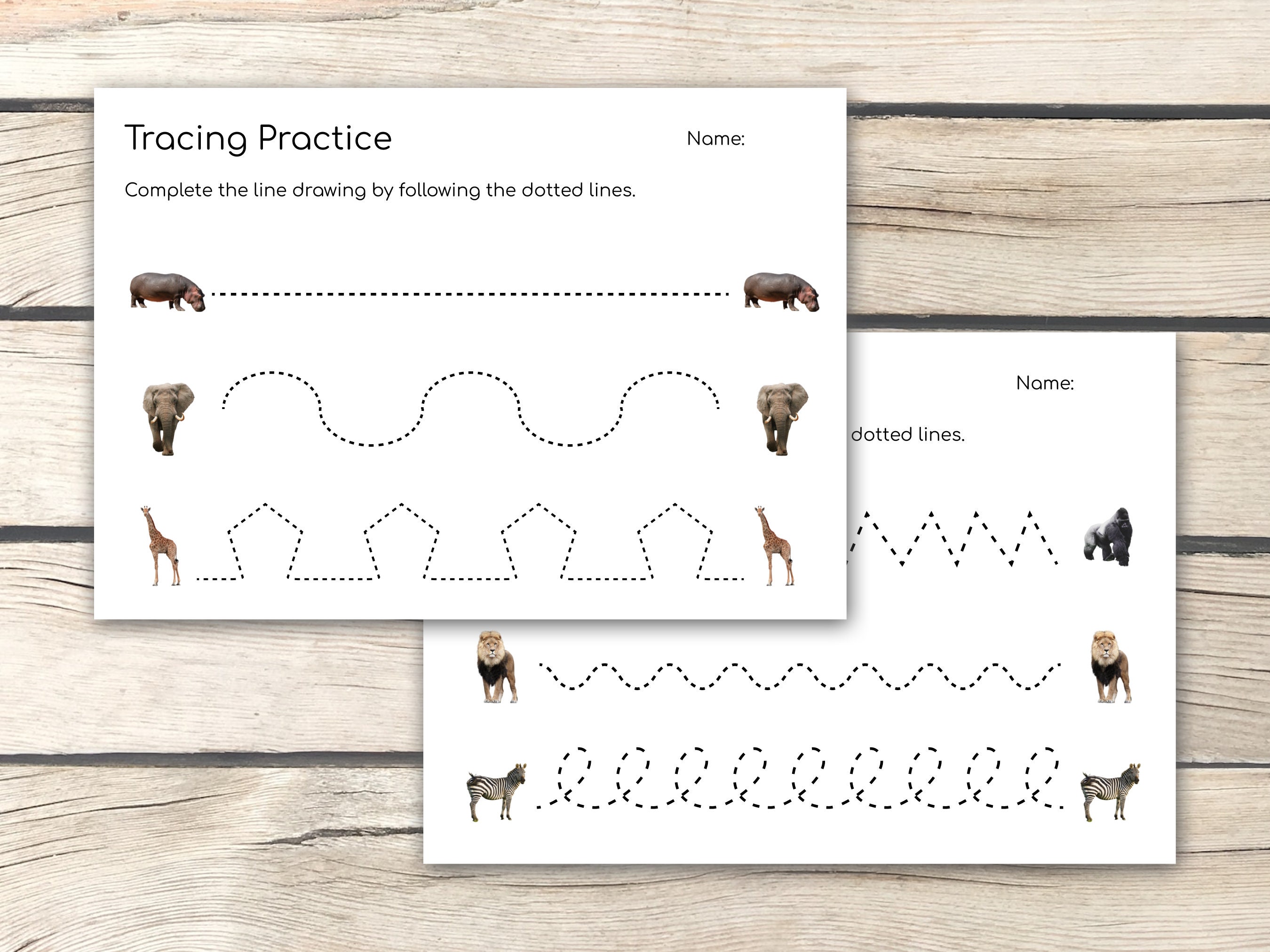 Preschool Line Tracing Practice, Safari Animals real Pictures Pre ...