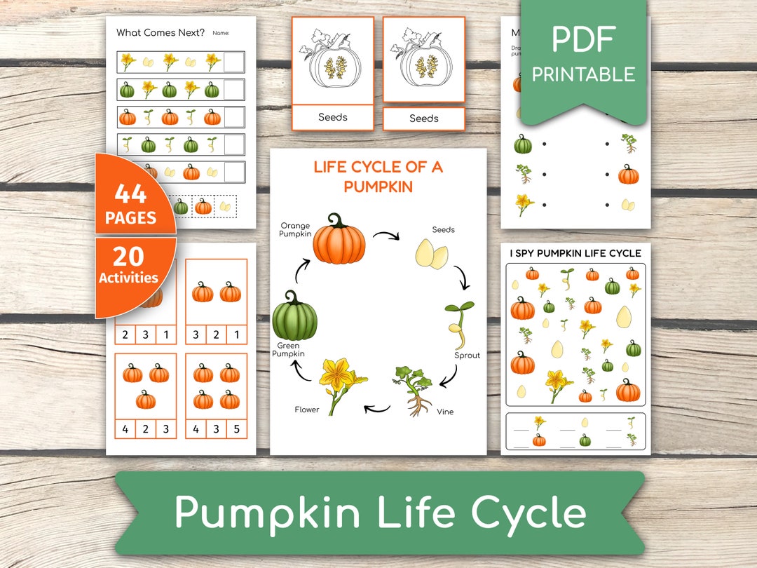 Pumpkin Life Cycle Activity Bundle: Educational Printable Set (PDF ...