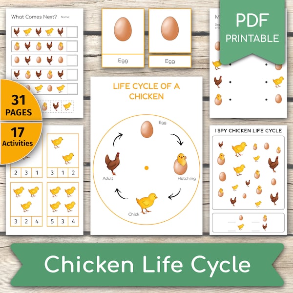 Chicken Life Cycle Activity Bundle - Etsy