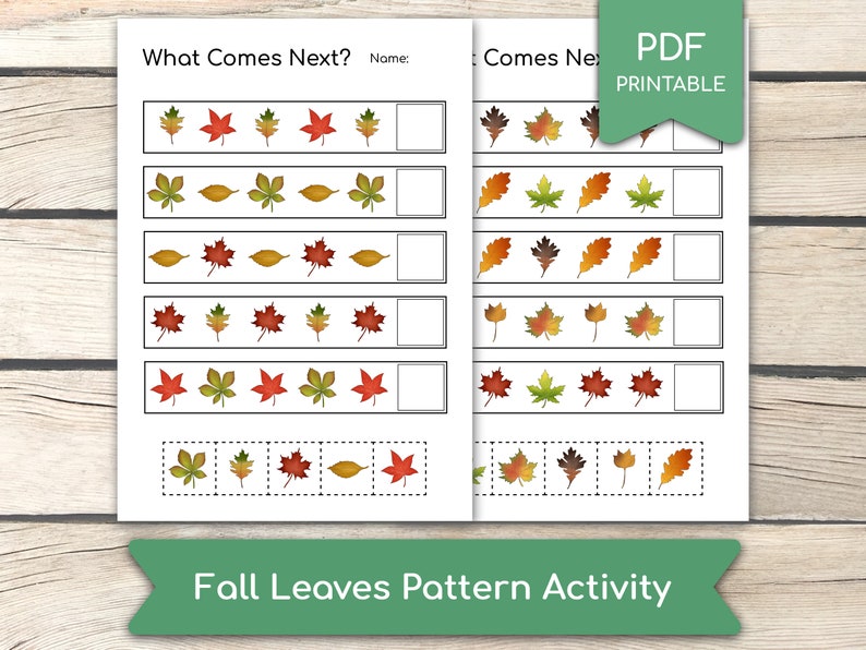 WHAT COMES NEXT? Fall Leaves Worksheet, Pattern Activity, Educational ...