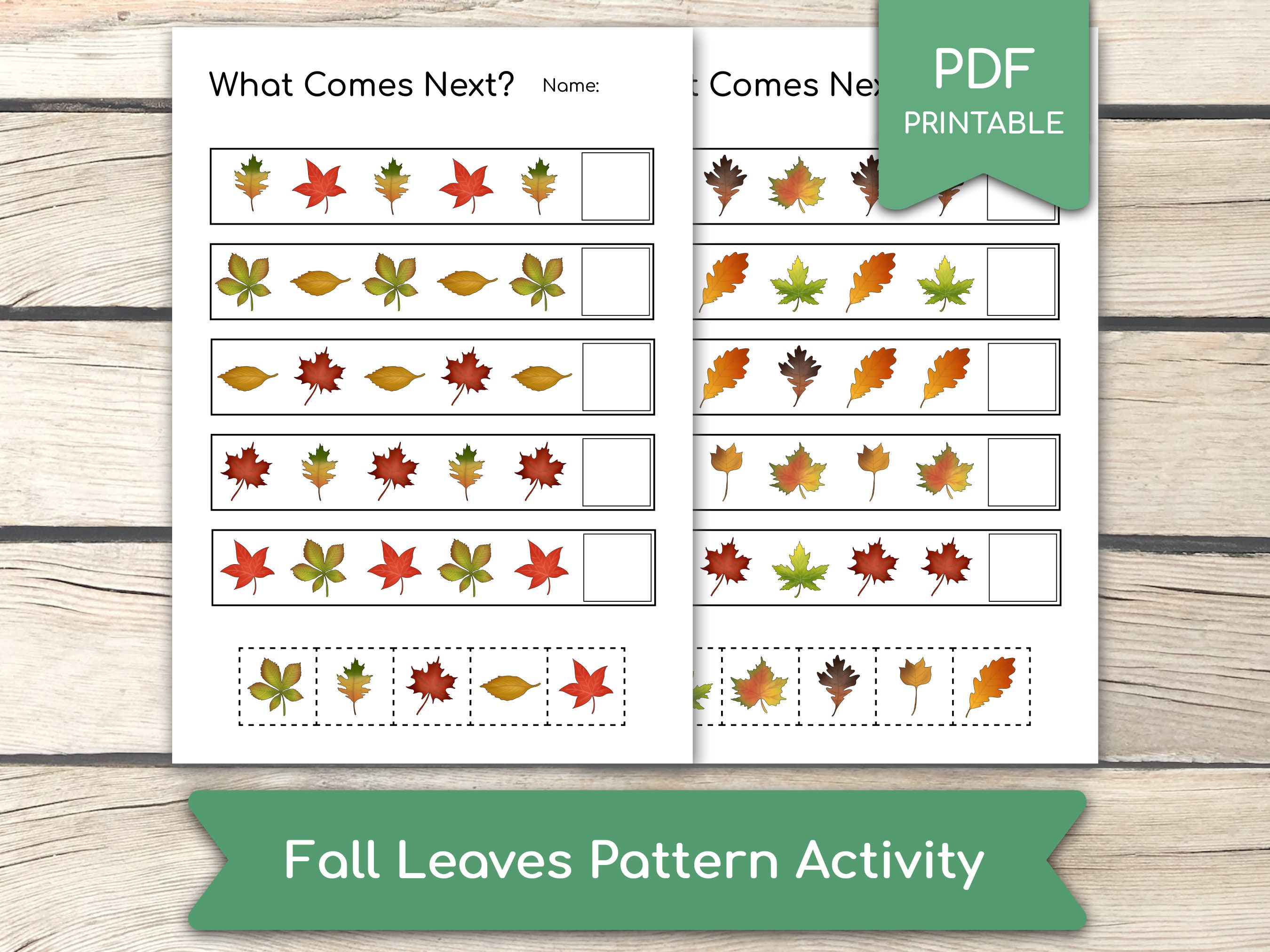 WHAT COMES NEXT? Fall Leaves Worksheet, Pattern Activity, Educational ...