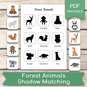 Forest Animals Shadow Matching Game: Preschool Activity (PDF Printables ...