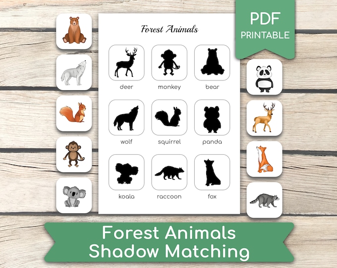 Forest Animals Shadow Matching Game: Preschool Activity (PDF Printables ...