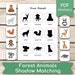 Forest Animals Shadow Matching Game, Forest Animals Worksheet, Matching ...