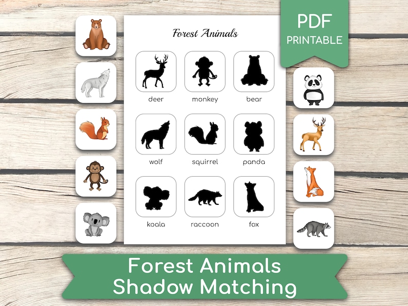 Forest Animals Shadow Matching Game, Forest Animals Worksheet, Matching ...