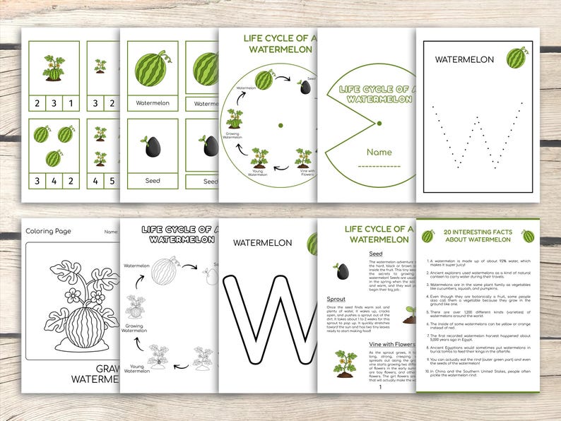 Watermelon Life Cycle Activity Bundle: Educational Printable Set (PDF ...