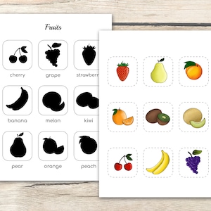 Fruits Shadow Matching Game, Fruits Worksheet, Matching Activity ...