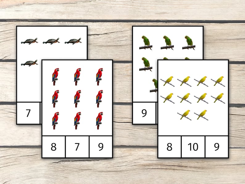 Counting Pet Animals (real Pictures) 1 to 10 Montessori Cards Preschool ...