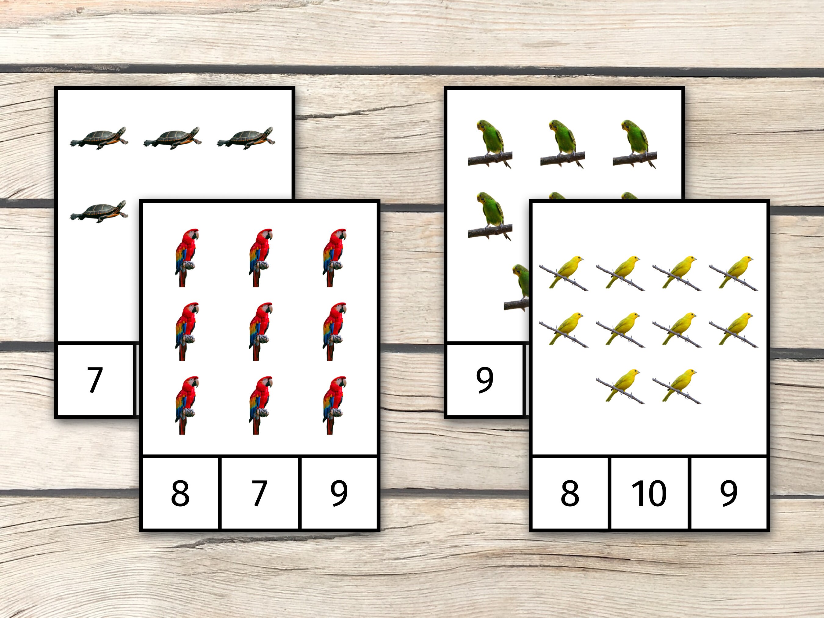 Counting Pet Animals (real Pictures) 1 to 10 Montessori Cards Preschool ...