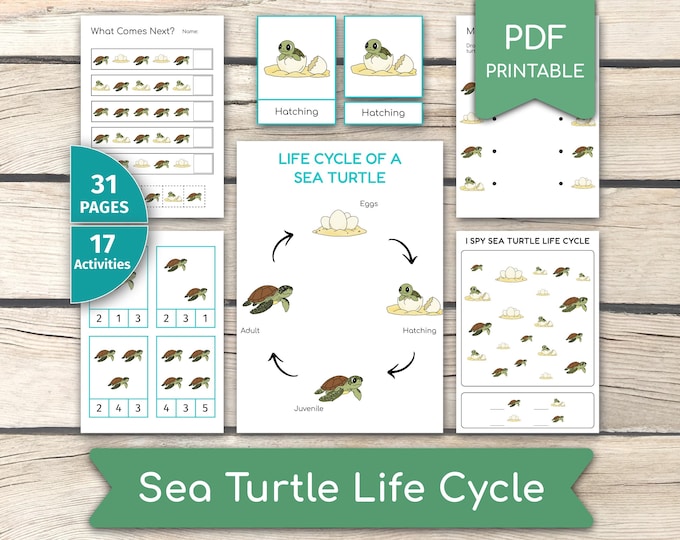 Life Cycle of a Sea Turtle Letter and Word Tracing / Handwriting ...