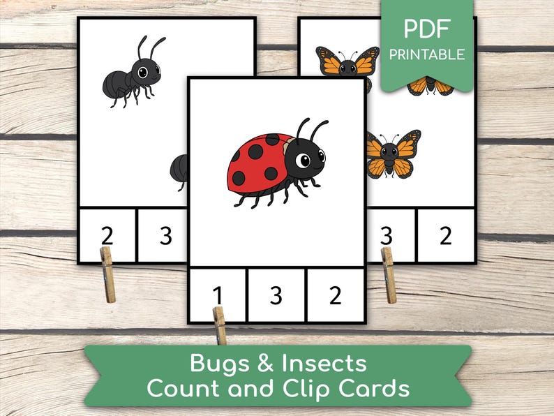 Bugs & Insects Counting Cards, Montessori Preschool Activity (PDF ...