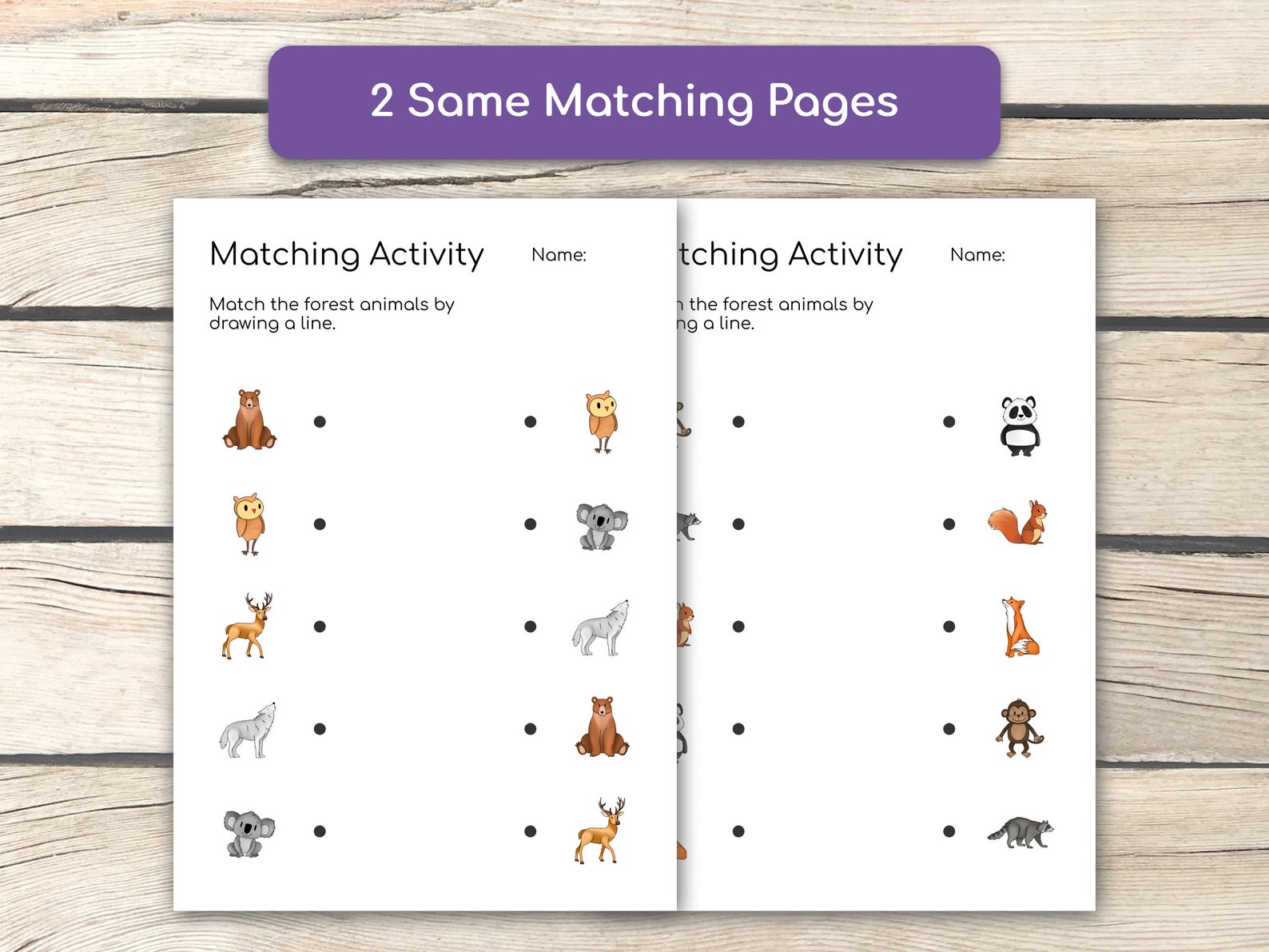 Forest Animals Matching Activity 5 Different Types Worksheet • 10 Pages ...