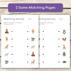 Forest Animals Matching Activity 5 Different Types Worksheet • 10 Pages ...