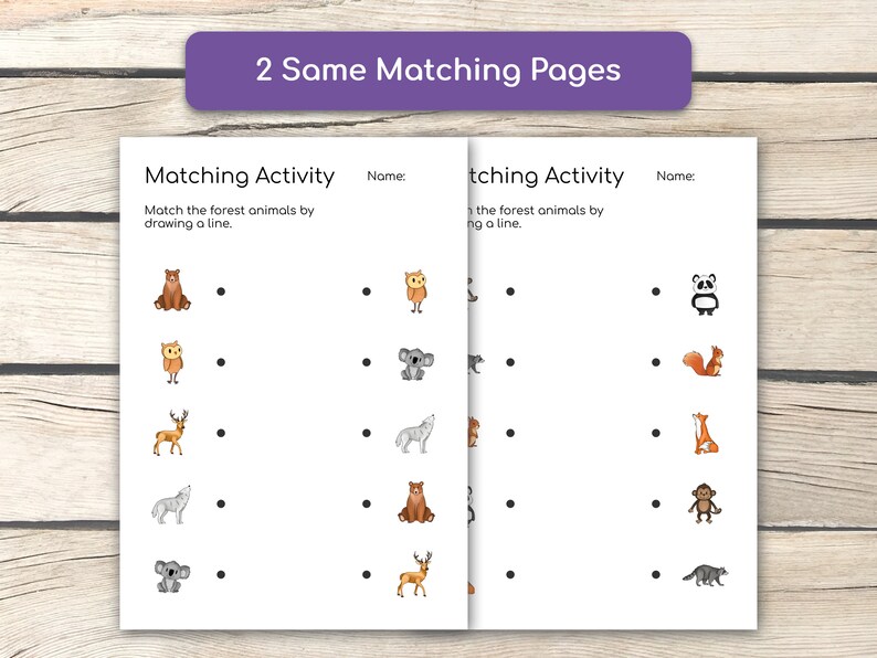 Forest Animals Matching Activity 5 Different Types Worksheet • 10 Pages ...